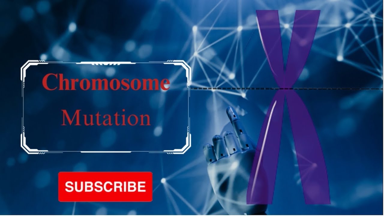 Chromosome Mutation - YouTube