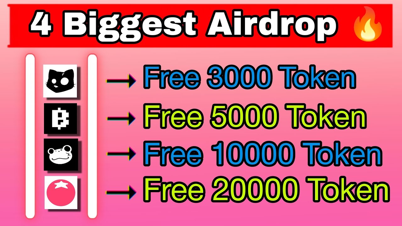 Cats Airdrop | Frogs Airdrop | Blum Airdrop | Tomarket Airdrop | 2024 ...
