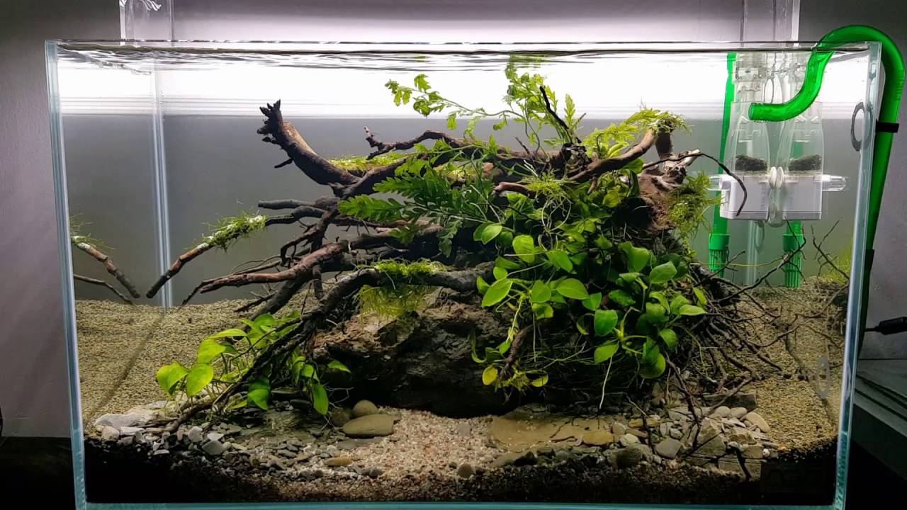 Ada Cube Garden 60 H | Fasci Garden