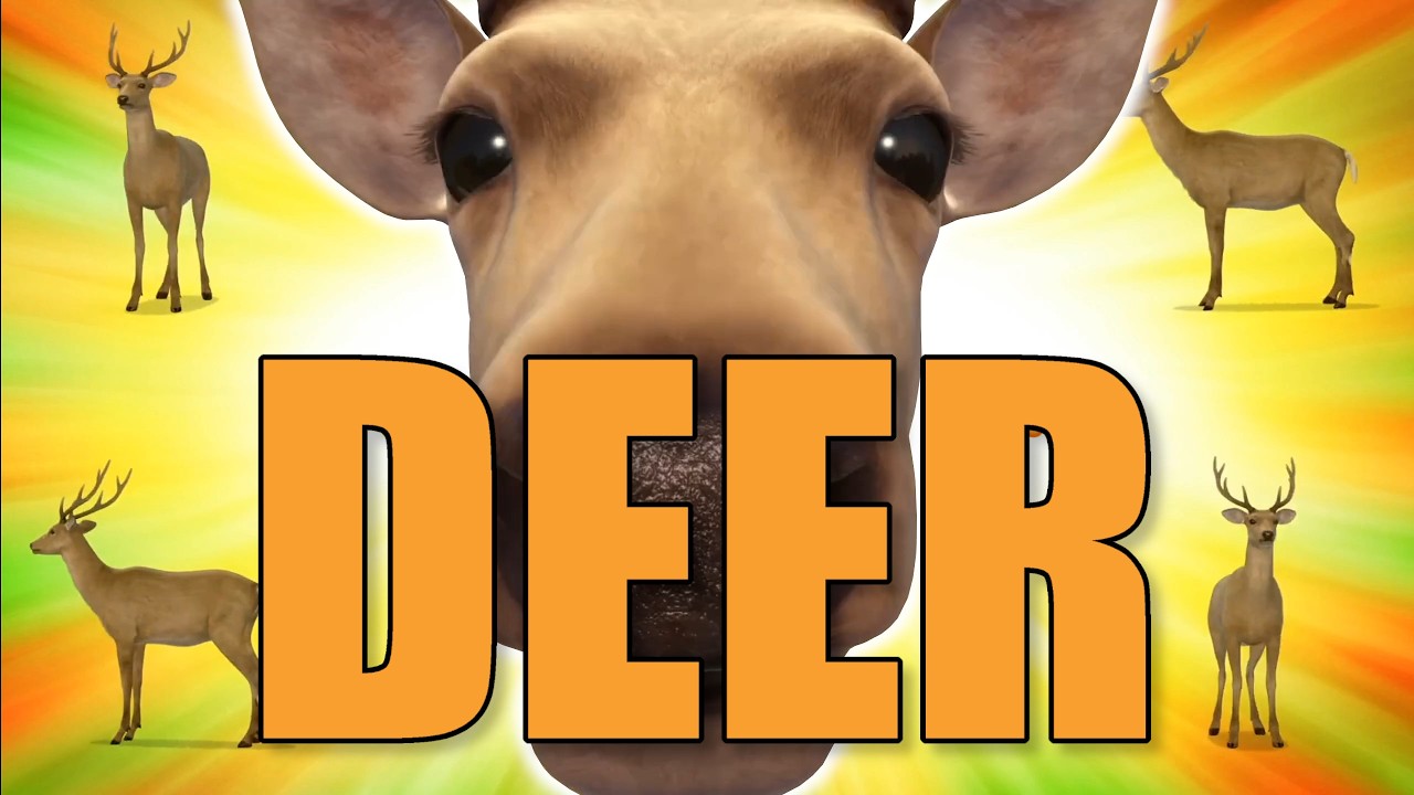 Oh Deer - My Deer Friend Nokotan First Impressions - YouTube
