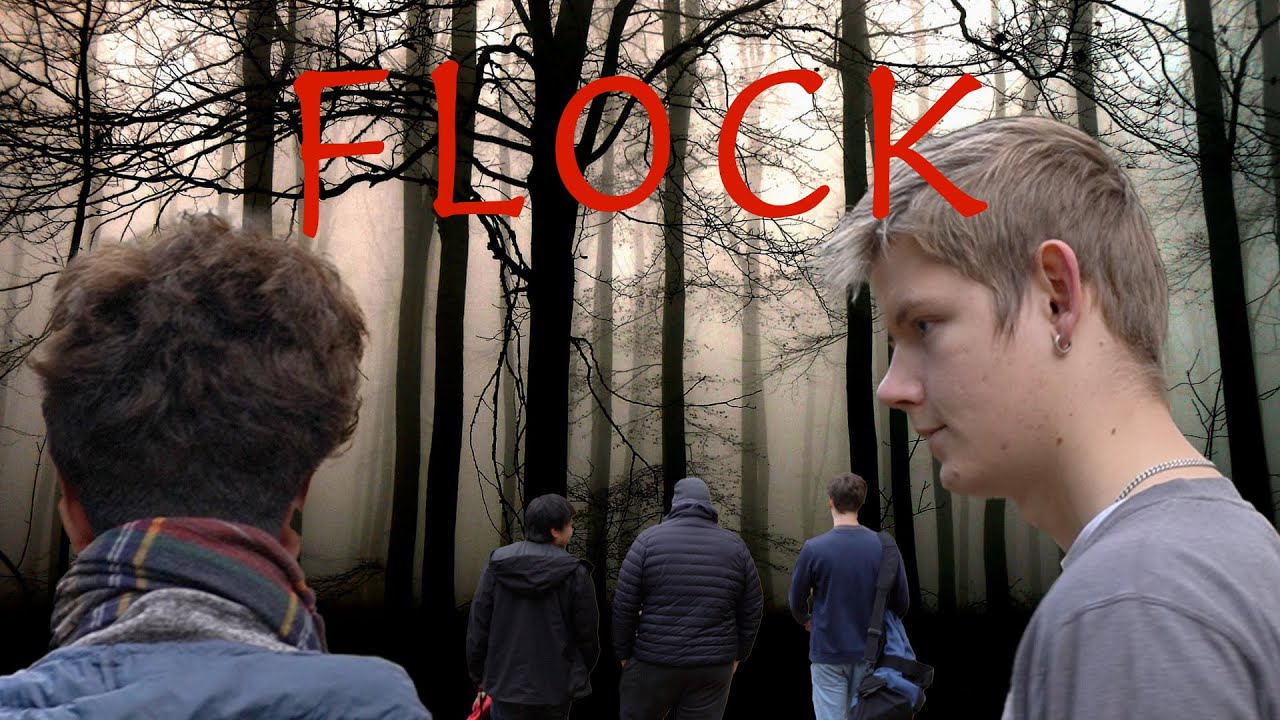 Flock - YouTube