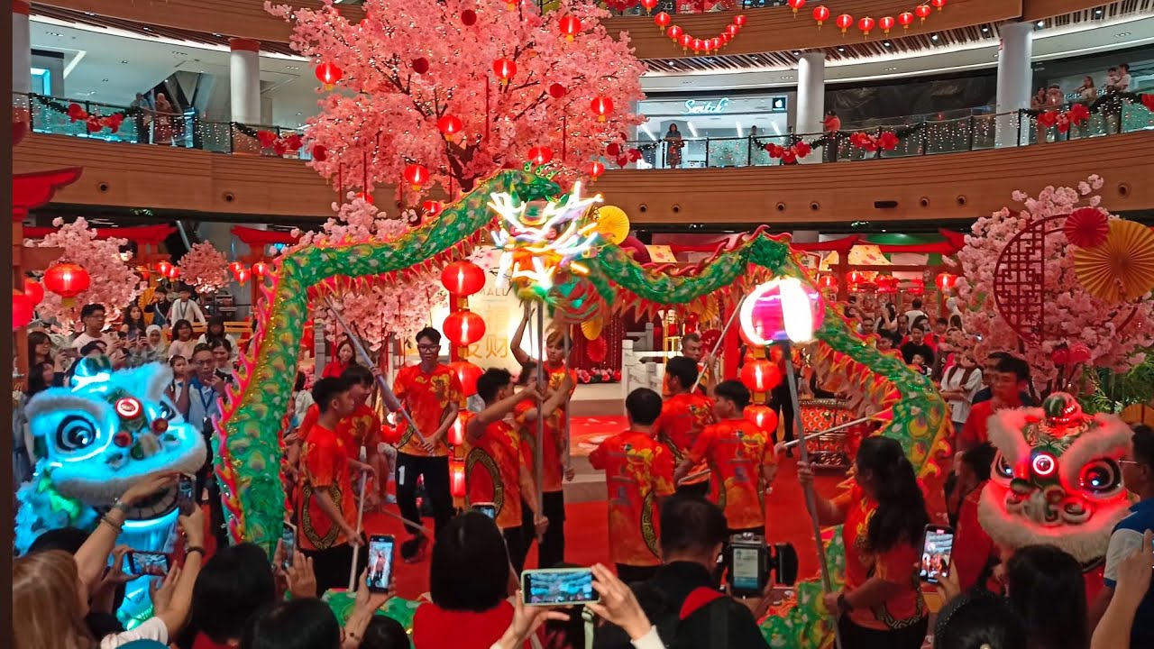 LED Lion & LED Dragon Dance 2025 - YouTube
