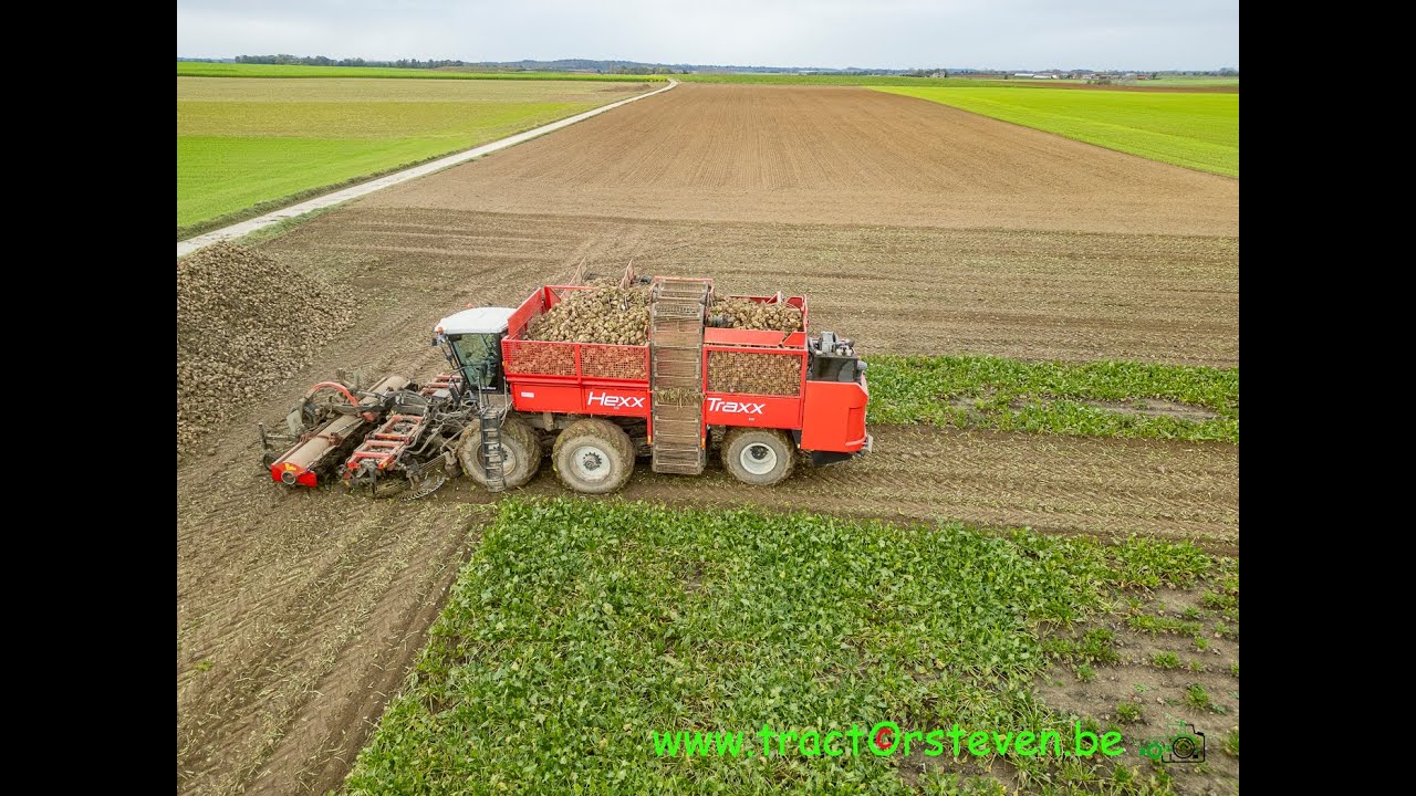 Agrifac Hexx Traxx 12 rije bietenrooier -Hertigers Loon en grondwerken ...