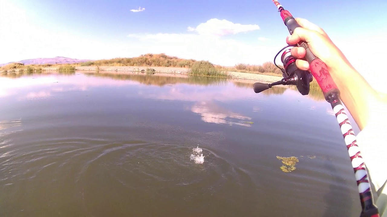 Bass Fishing Mason Valley WMA - YouTube