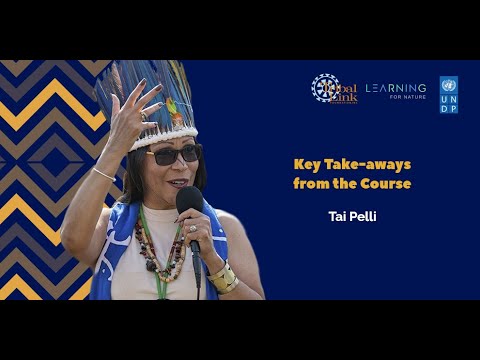 Tai Pelli “Key take-aways from the course" - YouTube