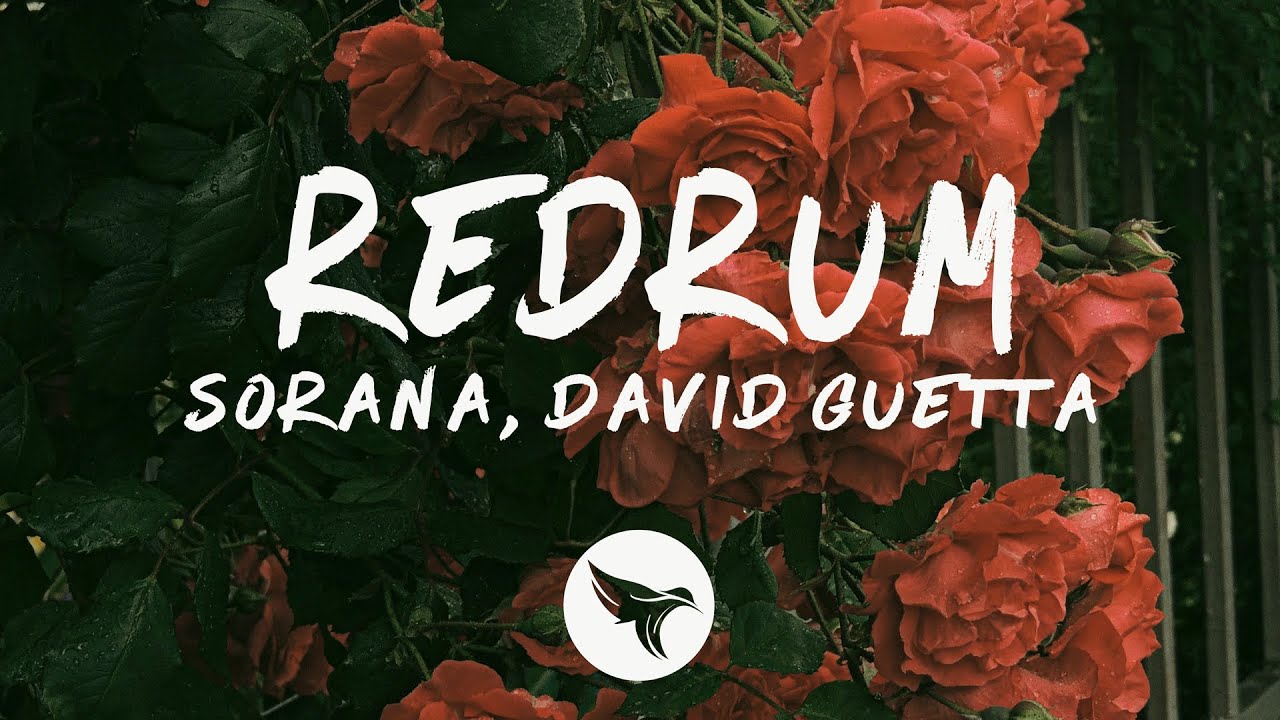Sorana And David Guetta Redrum Lyrics Youtube