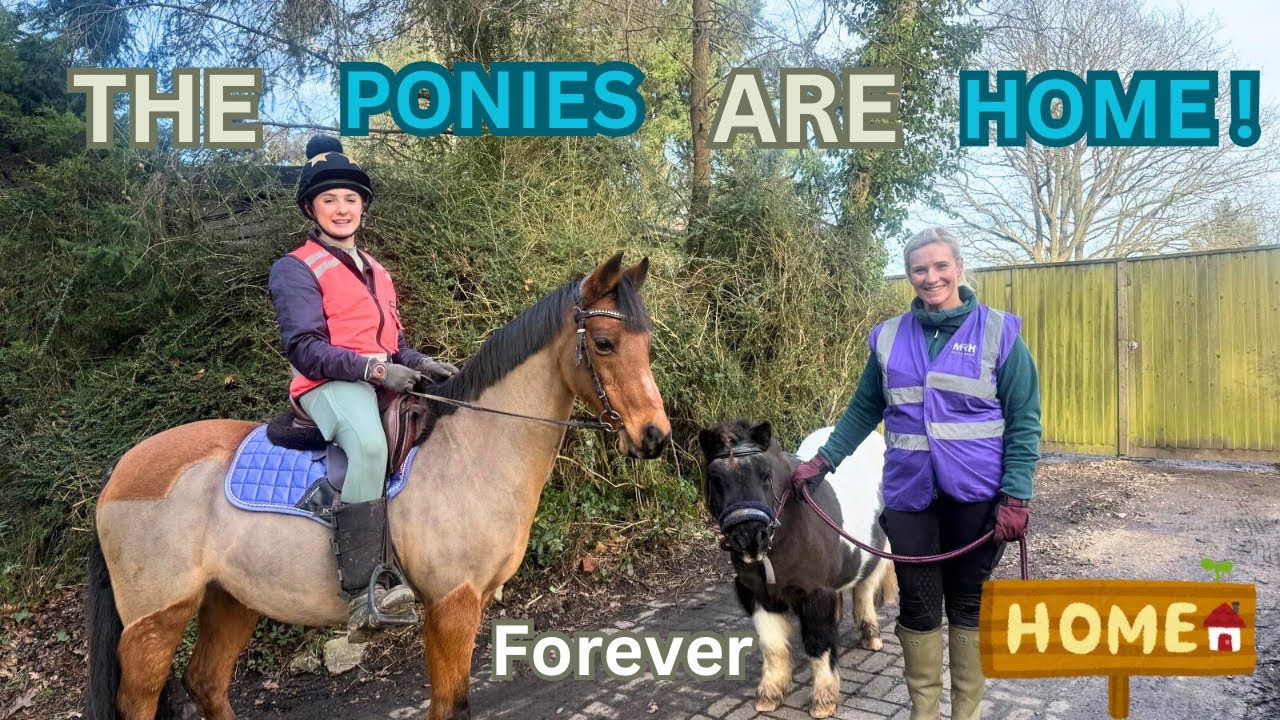 THE PONIES COME HOME FOREVER ! - YouTube