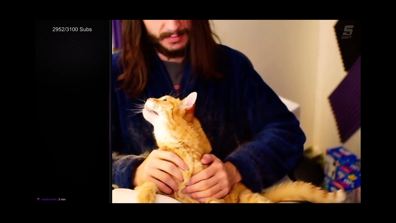 meow (2021) - YouTube