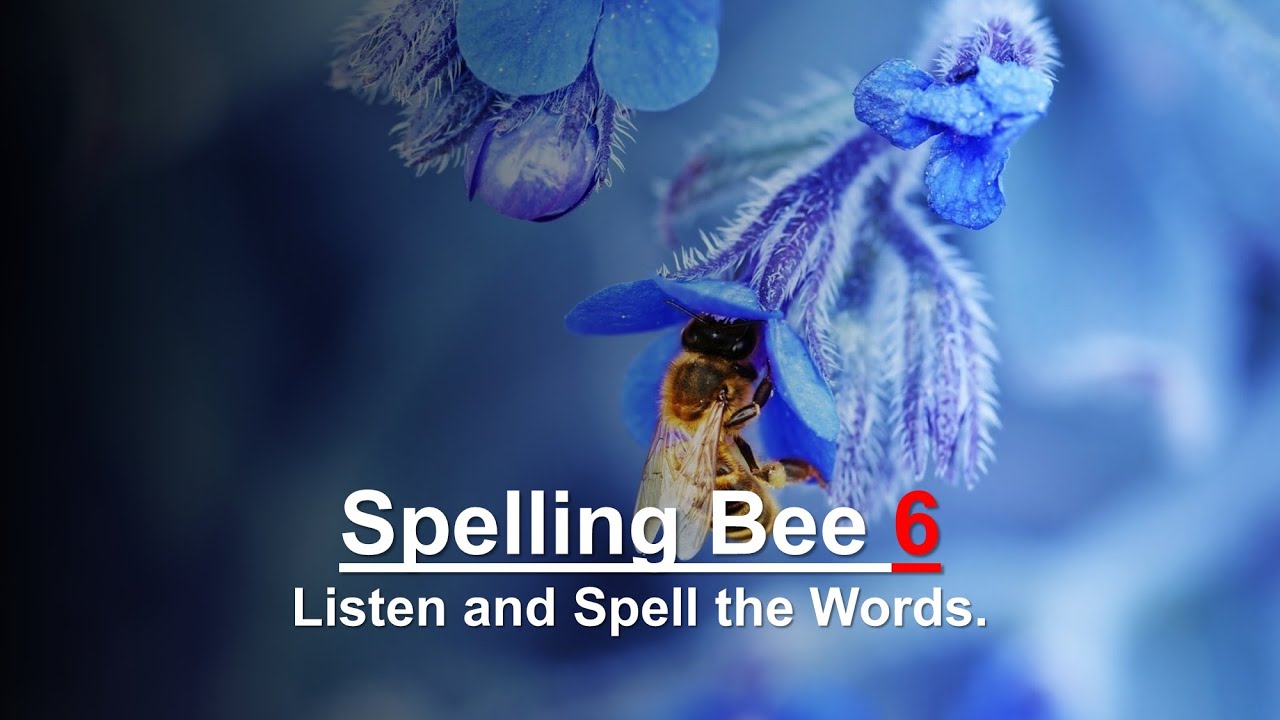 Spelling Bee 6 - YouTube