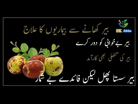 Jujube Fruit Benefits | Bair k faidy in Urdu/Hindi | Health benefits ...
