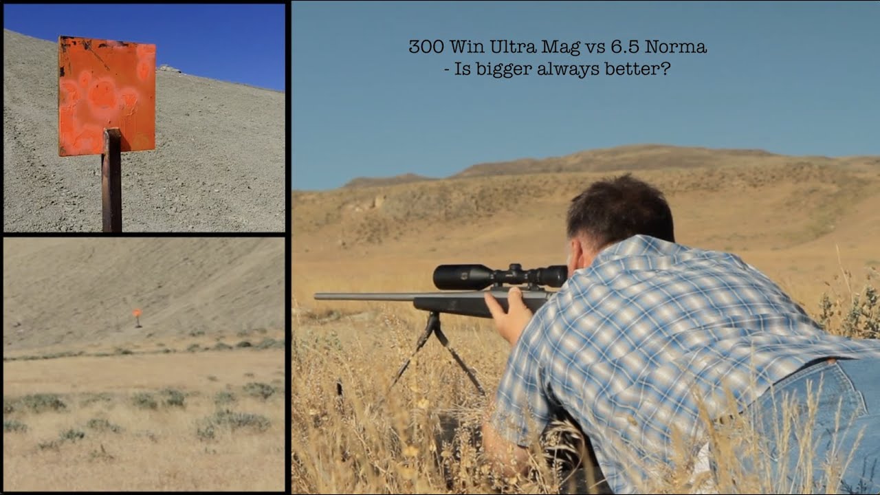 Remington 300 Ultra Mag vs Royal Rifle 6.5 x 284 Norma - YouTube