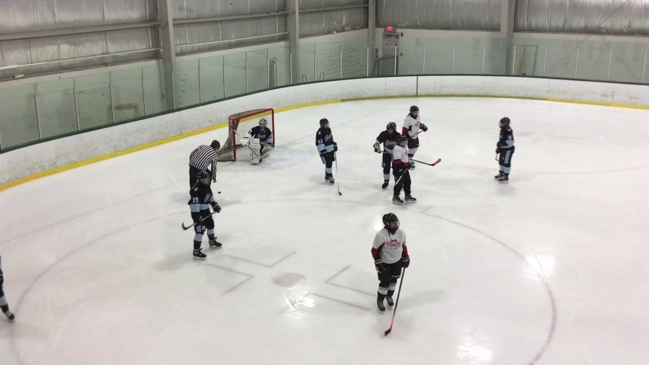 2019 19U MAHA State playoff game between Lapeer Hericanes and Port ...