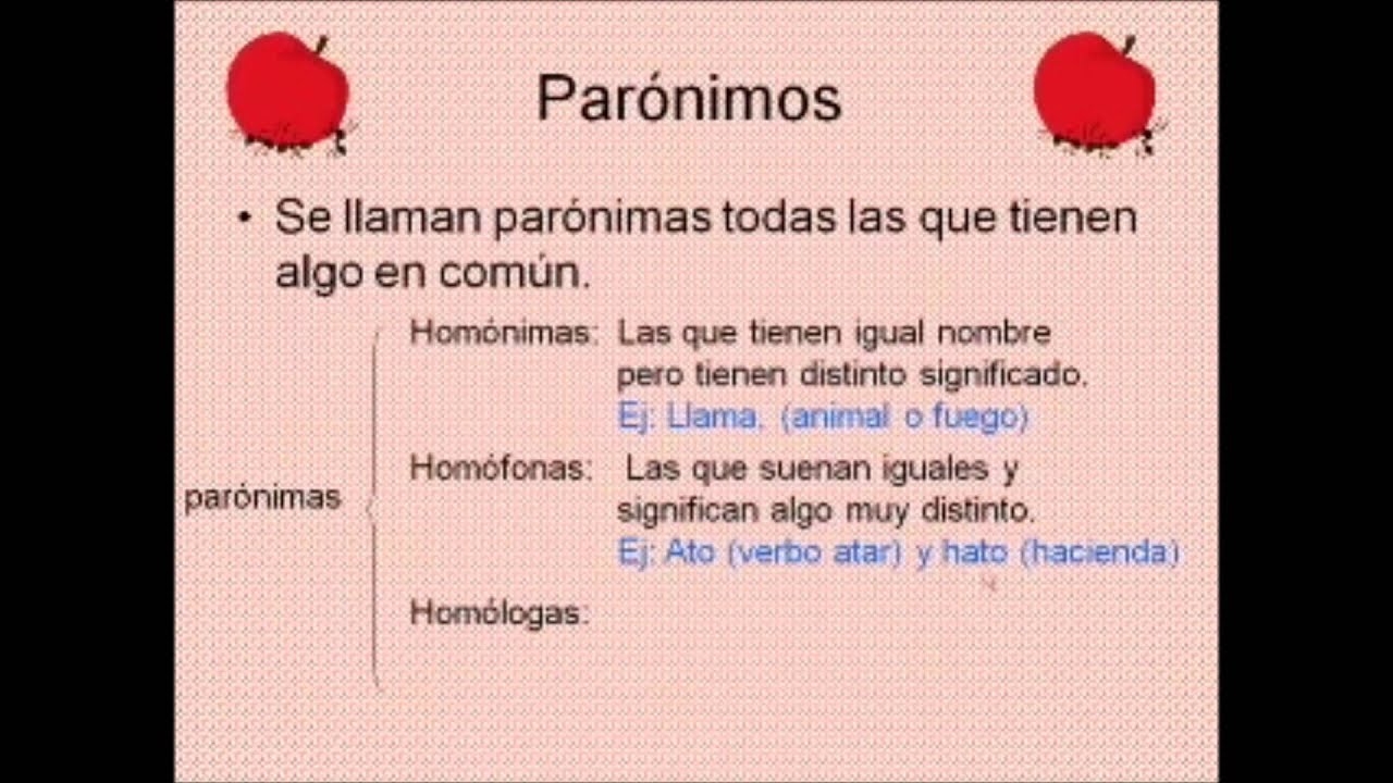 Sinonimos, Homonimos, Antonimos.etc - YouTube