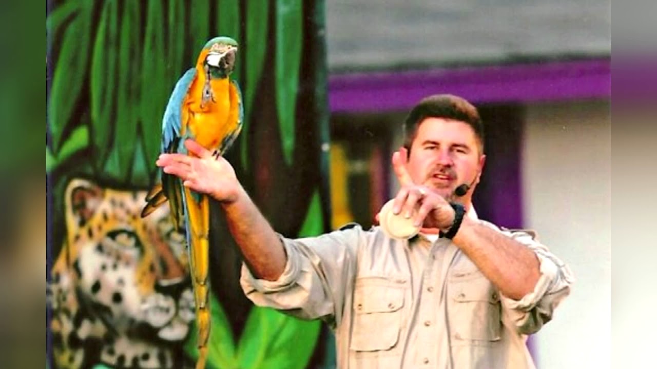 Wild World of Animals Stage Show - YouTube