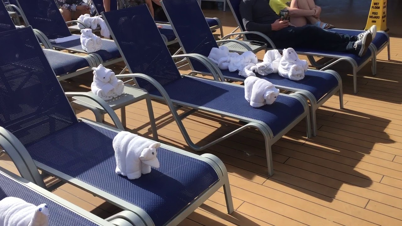 Carnival Splendor Dec 2018: Towel Animal Day Part 1 - YouTube