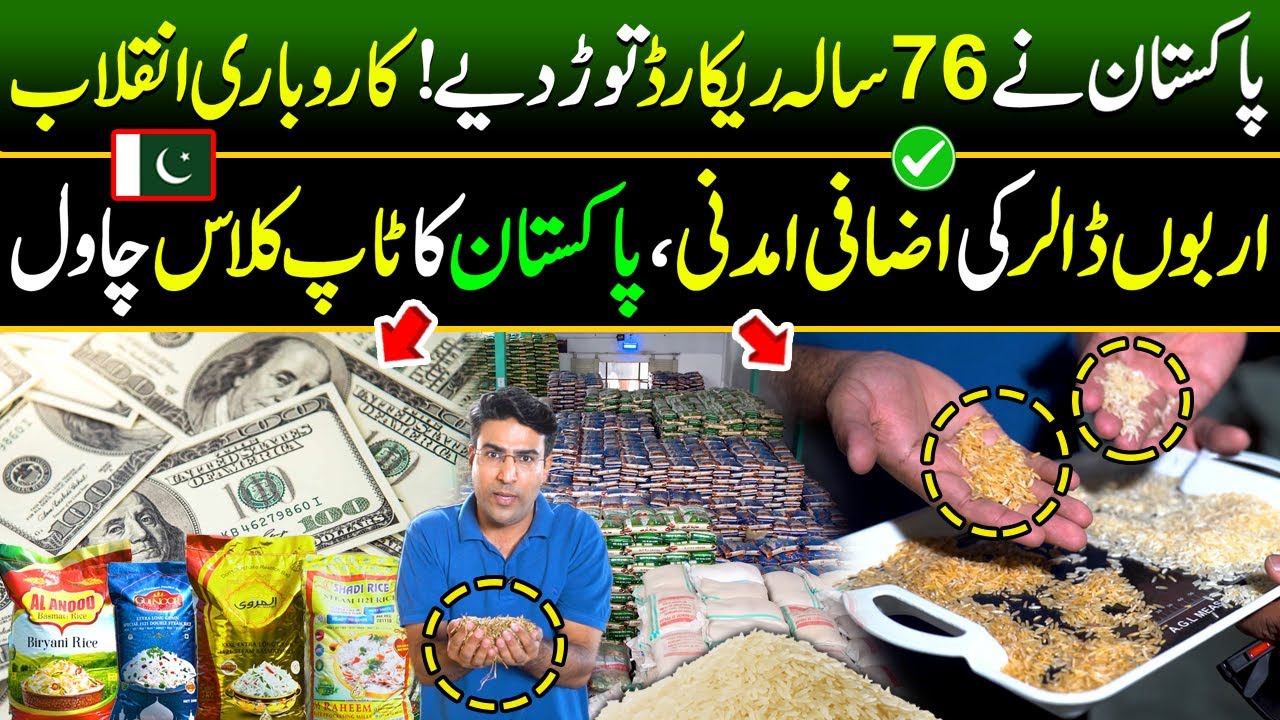 Pakistan's Best Quality Basmati Rice Manufacturing In Advanced Factory ...