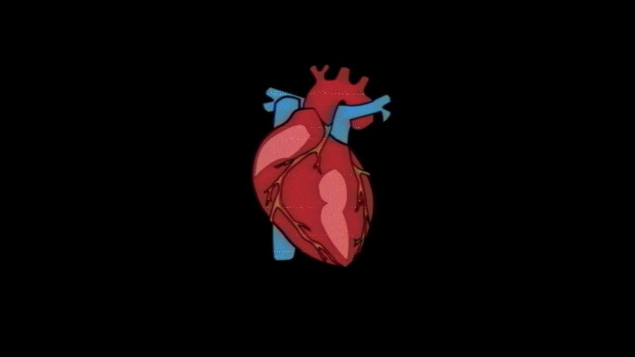 beating heart animation - YouTube