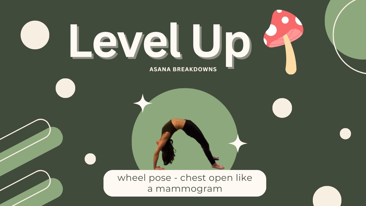 🍄 level up your asana: Wheel Pose - chest open like a mammogram - YouTube