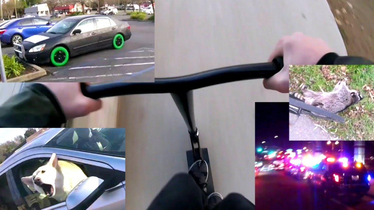 Random Archive Footage #3: Drunk Raccoon, Racecar Spotting, Skatepark ...