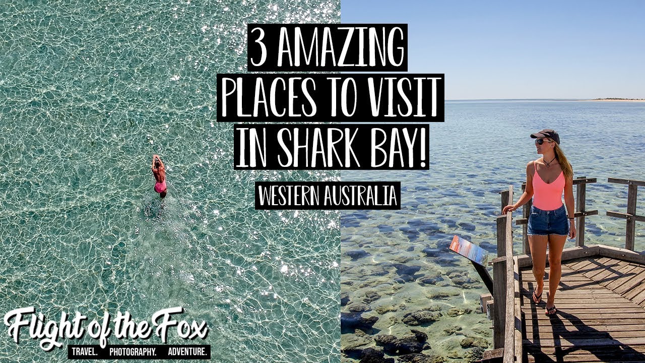 3 AMAZING Places to Explore in SHARK BAY | How to Get Lost in WA Ep. 21 ...