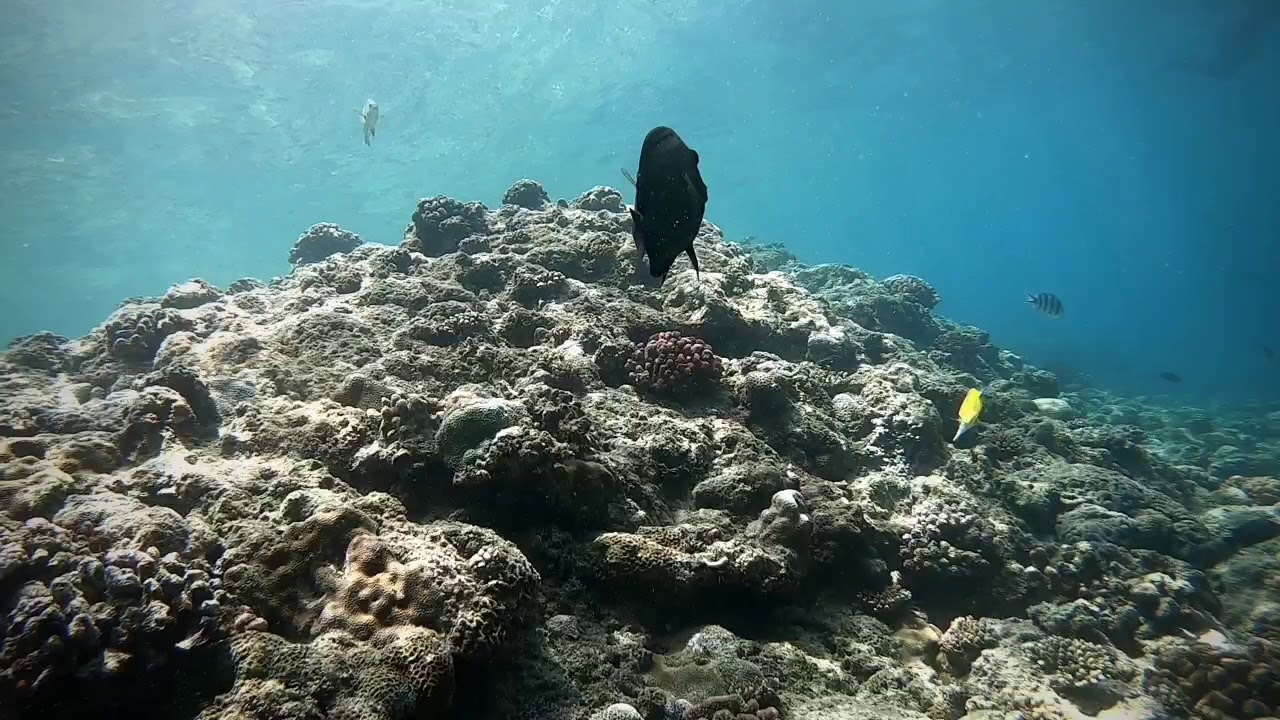 Cape Maeda, Okinawa, July 2019 - YouTube