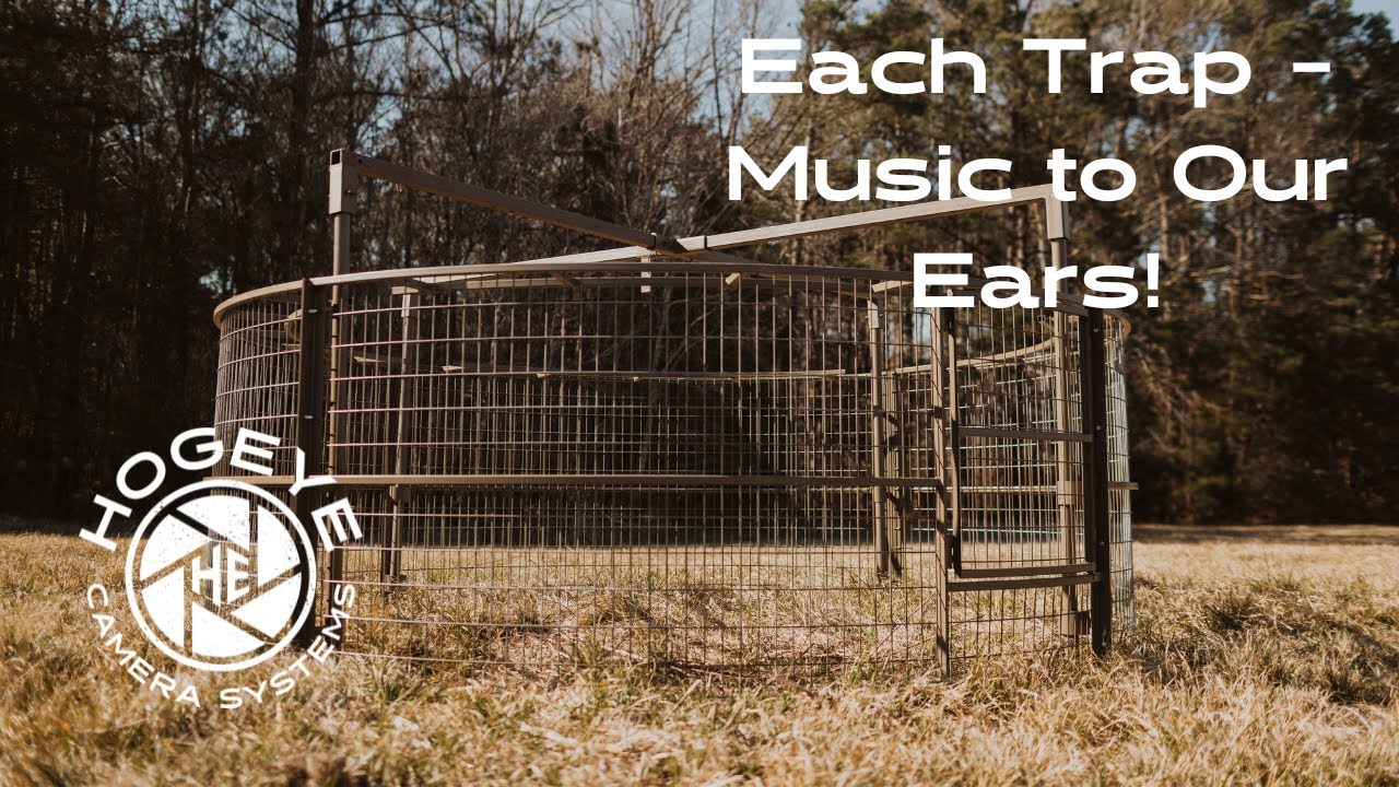 Each trap- music to our ears - YouTube