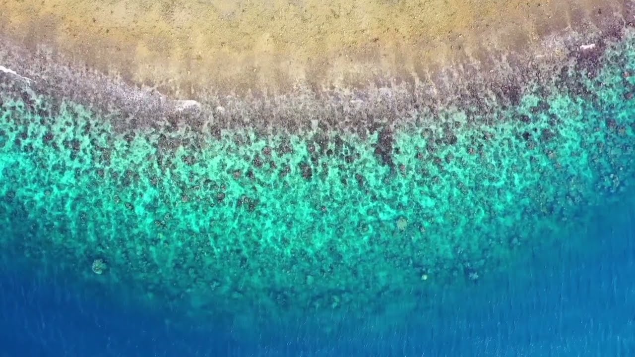 Calming Ocean Sounds and Harp Music 🧘‍♂️🧘‍♀️ 🎶 to Brighten your Day 🌞 ...