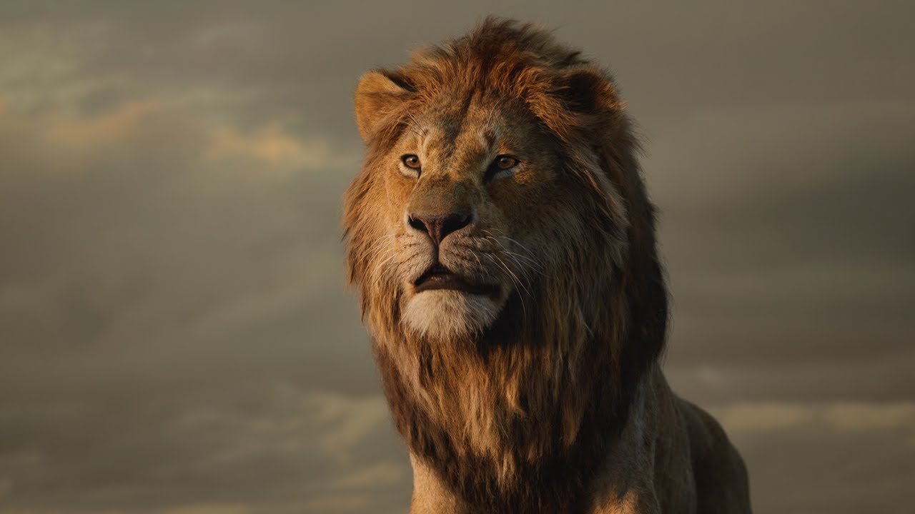 The Lion King 2019 - Simba Returns To The Pride Lands I 4K Ultra HD ...