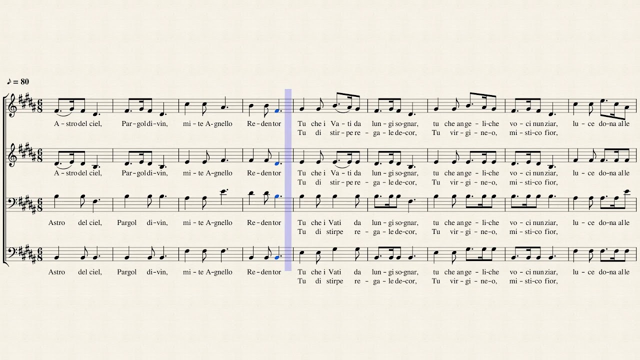 Per Quanto Riguarda Astro Del Ciel Spartito Con Note Scritte Nuovo ...