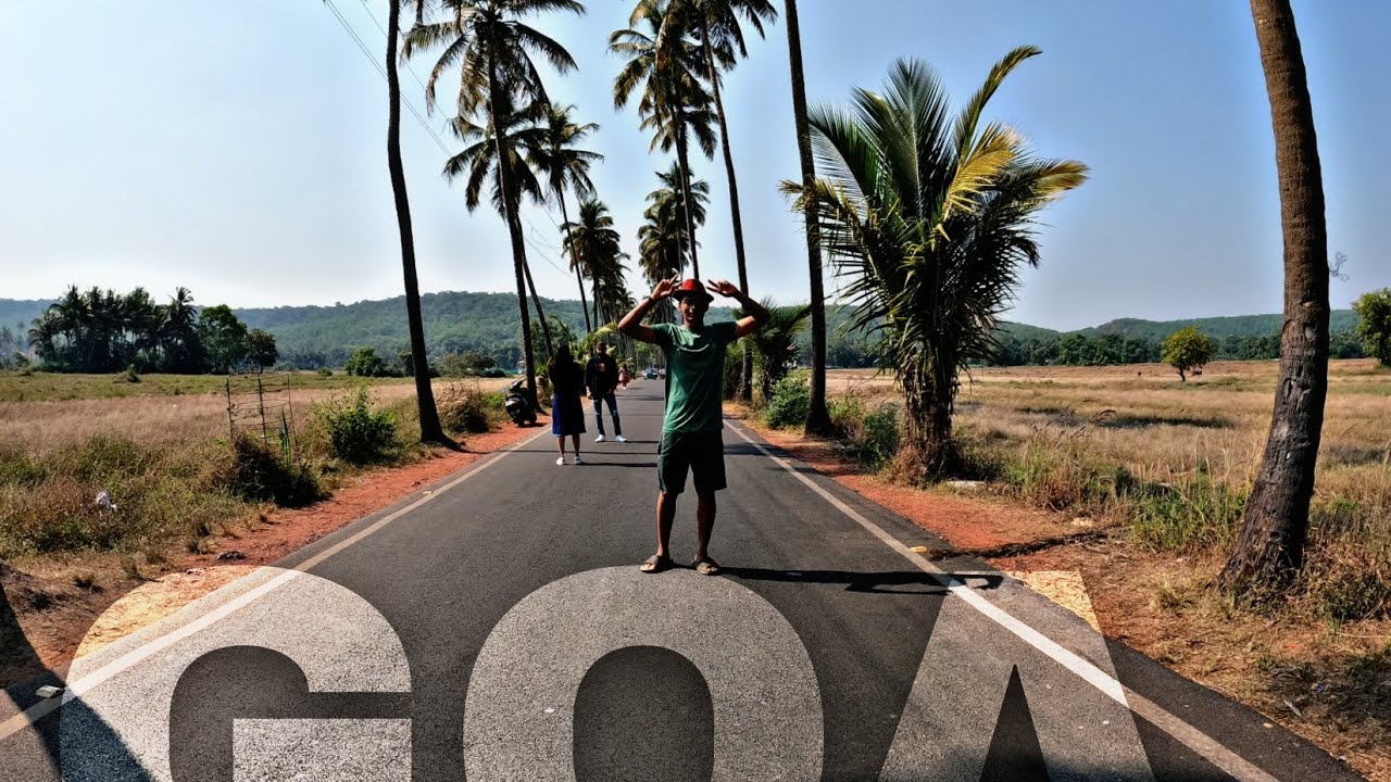 Coconut tree road Goa || Parra coconut road || Addylife #coconutroad # ...