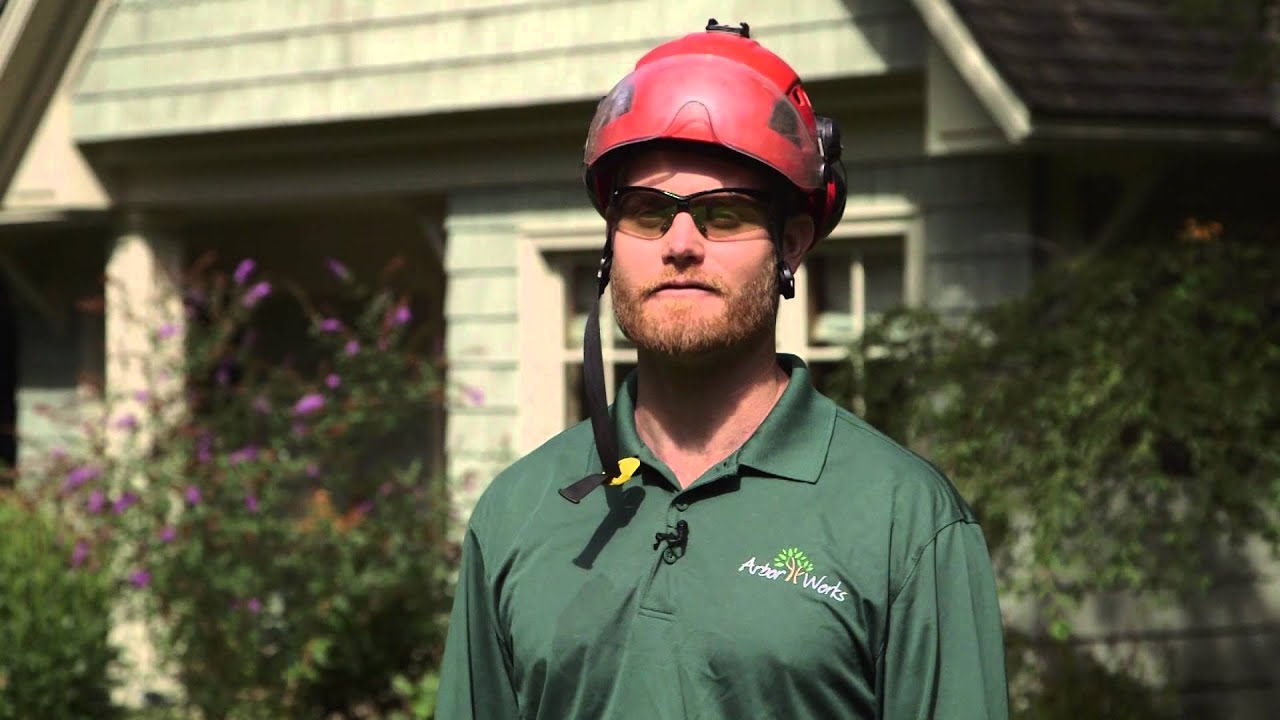 Utah Tree Service Company-Arbor Works - YouTube