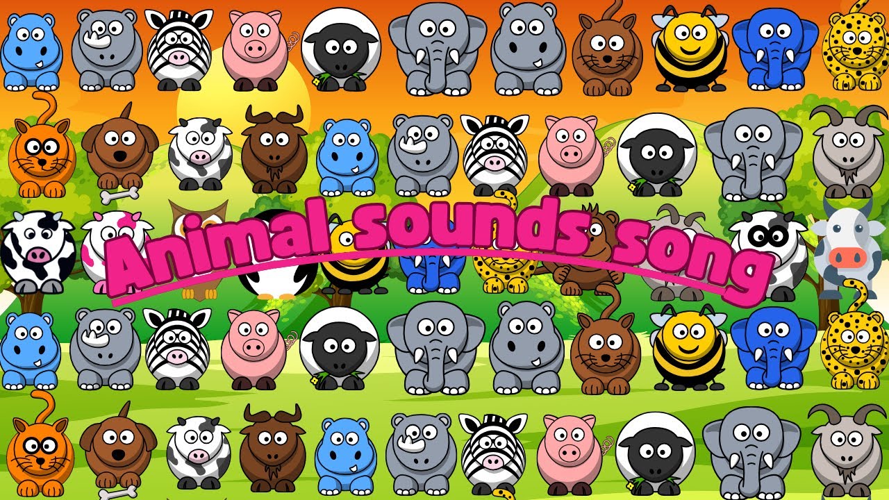 Amazing Animal Sounds | Fun & Educational Song for Kids! - YouTube