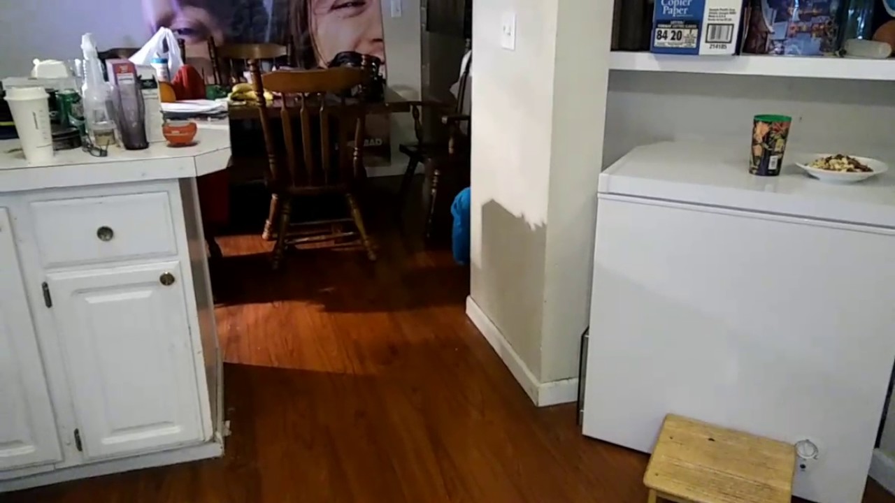 The armless wonder - YouTube