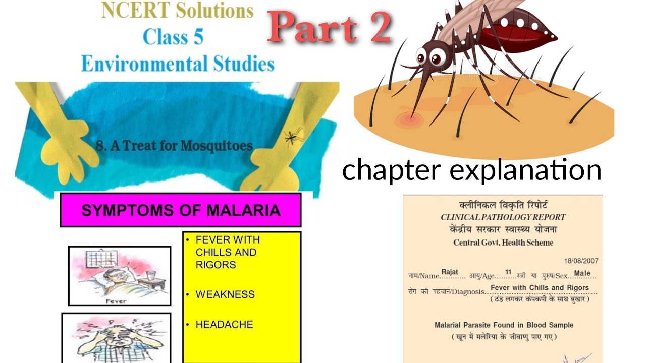evs class 5 ।। a treat for mosquitoes।। chapter explanation ।।ncert ...