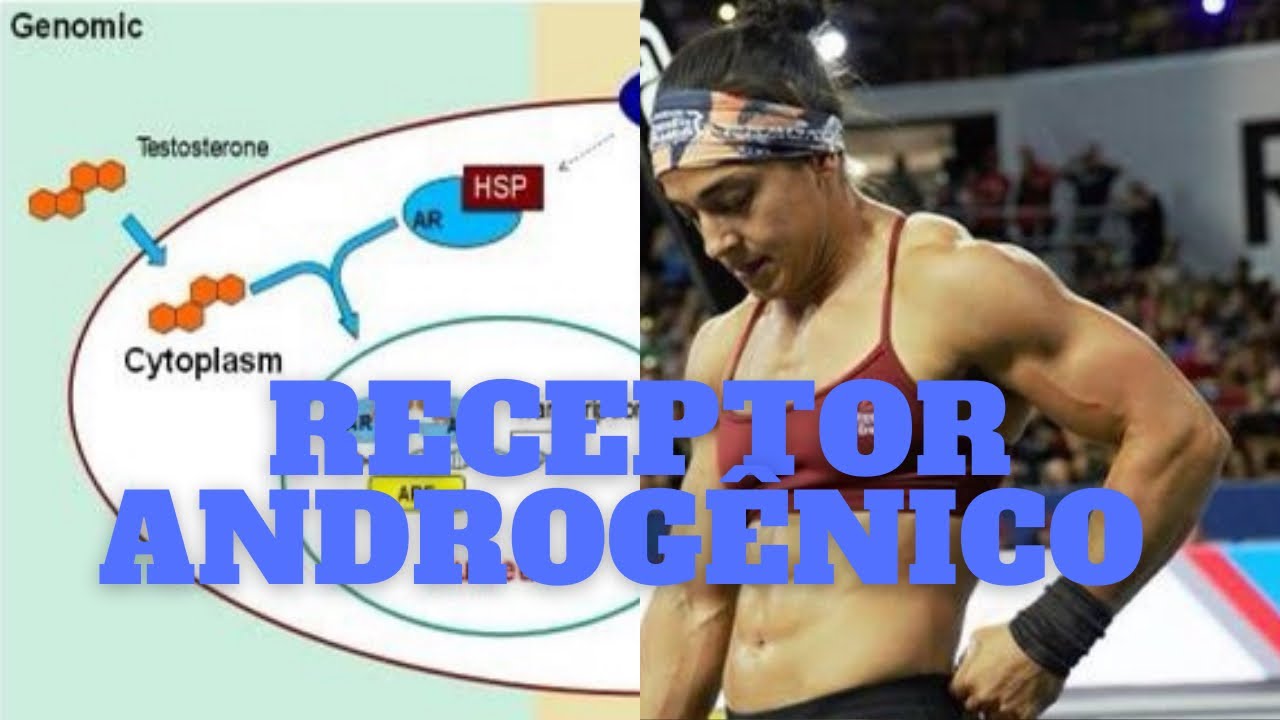 O Que é Efeito Androgênico - LIBRAIN