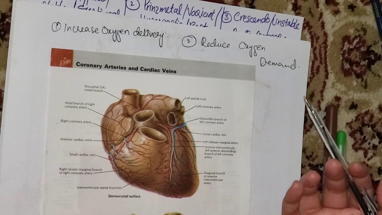 Angina 3 - Classification - YouTube