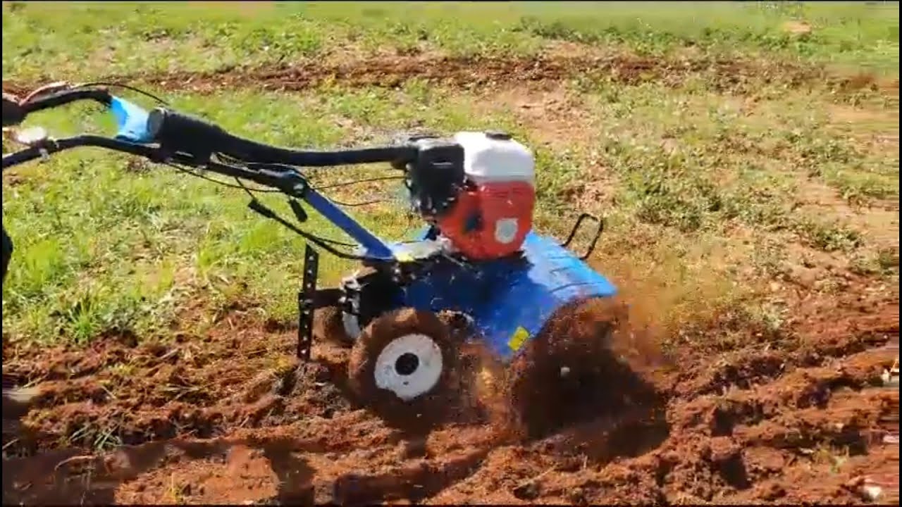 BCS Gratia 303M 7hp Front Rotory Power Weeder Price & Specifications ...