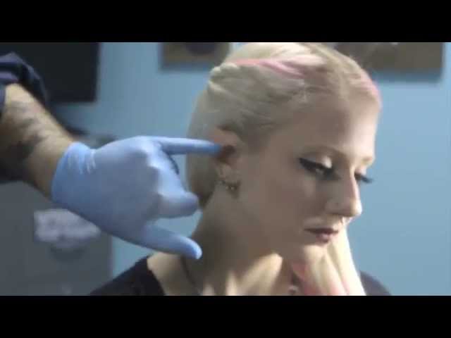 Ear Pointing Gone Wrong