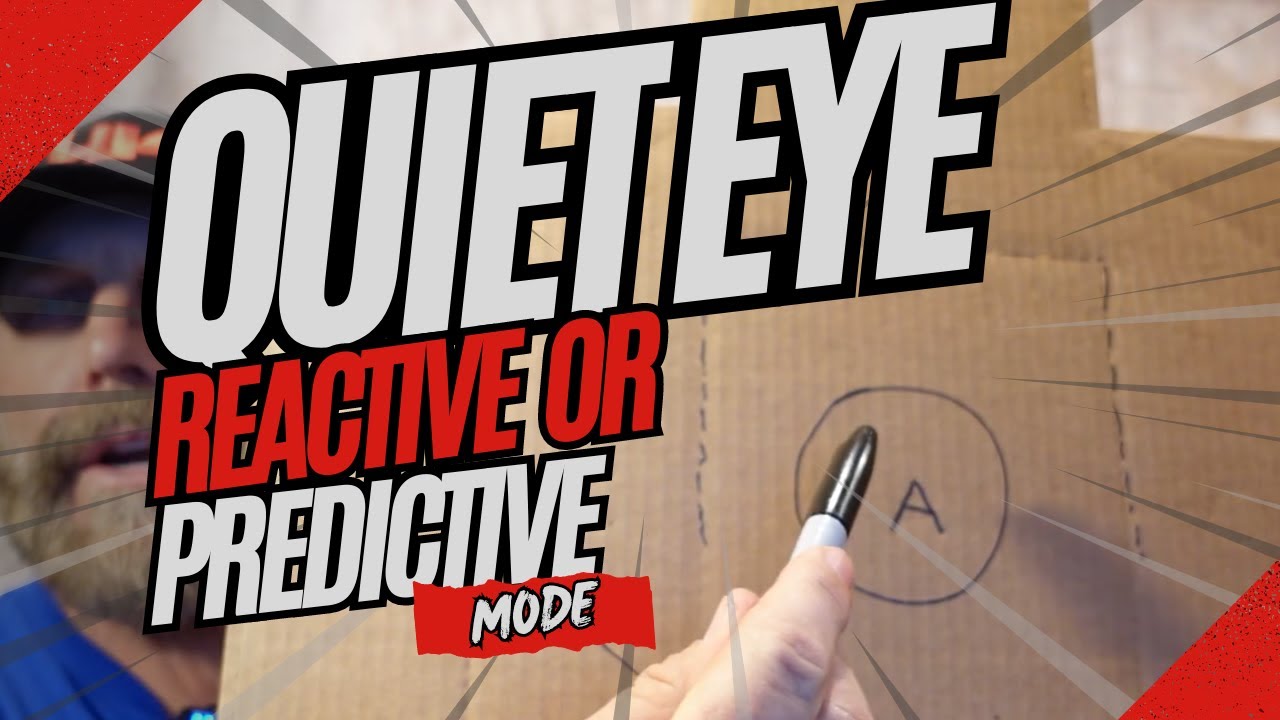 The Idea of the Quiet Eye - YouTube
