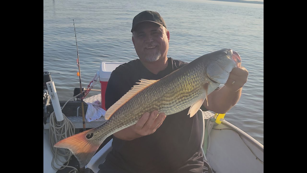 Catching some NICE Surry County, James River Redfish & Black Drum with ...