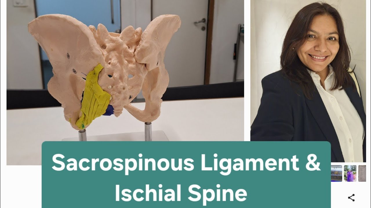 Sacrospinous ligament & Ischial spine, OBGY made easy! - YouTube