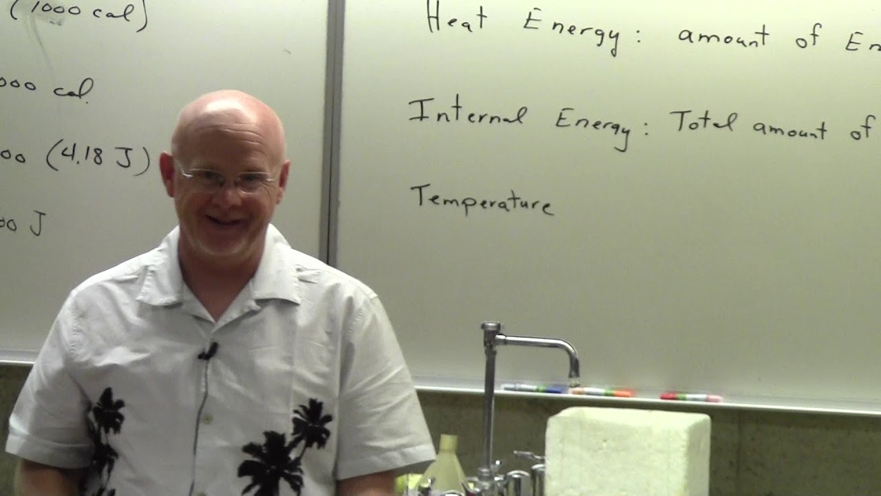 Day 10 - lecture 2 - part 3 of 3 - YouTube