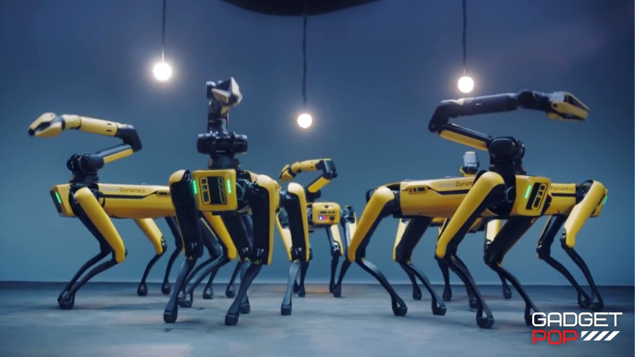 10 AMAZING REAL ROBOT DOGS THAT YOU CAN BUY - YouTube