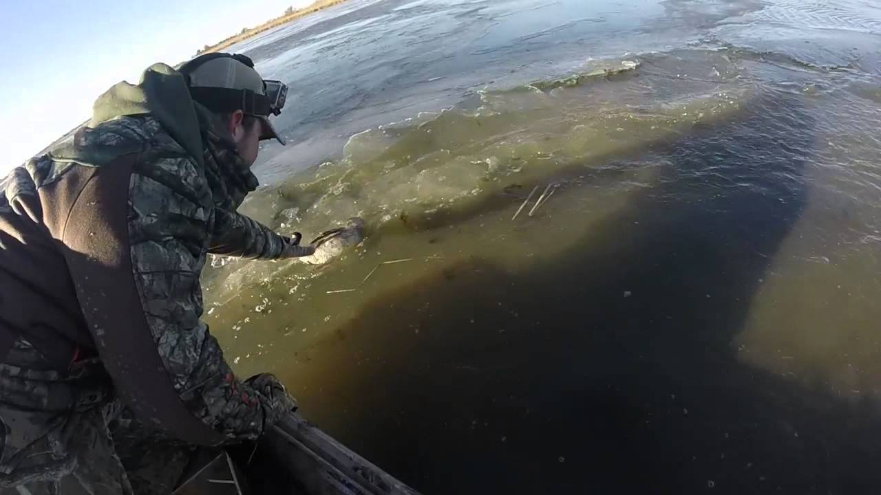 Mobile Delta Duck Hunting - YouTube