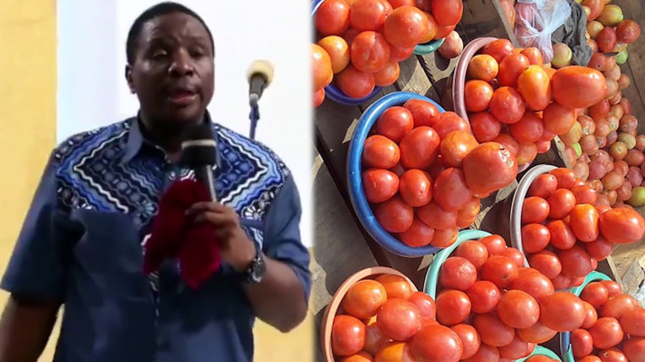 DHAMBI YA MUUZA MBOGA MBONA NA NYANYA IKO KWENYE KALE KAMEZA KAKE ...