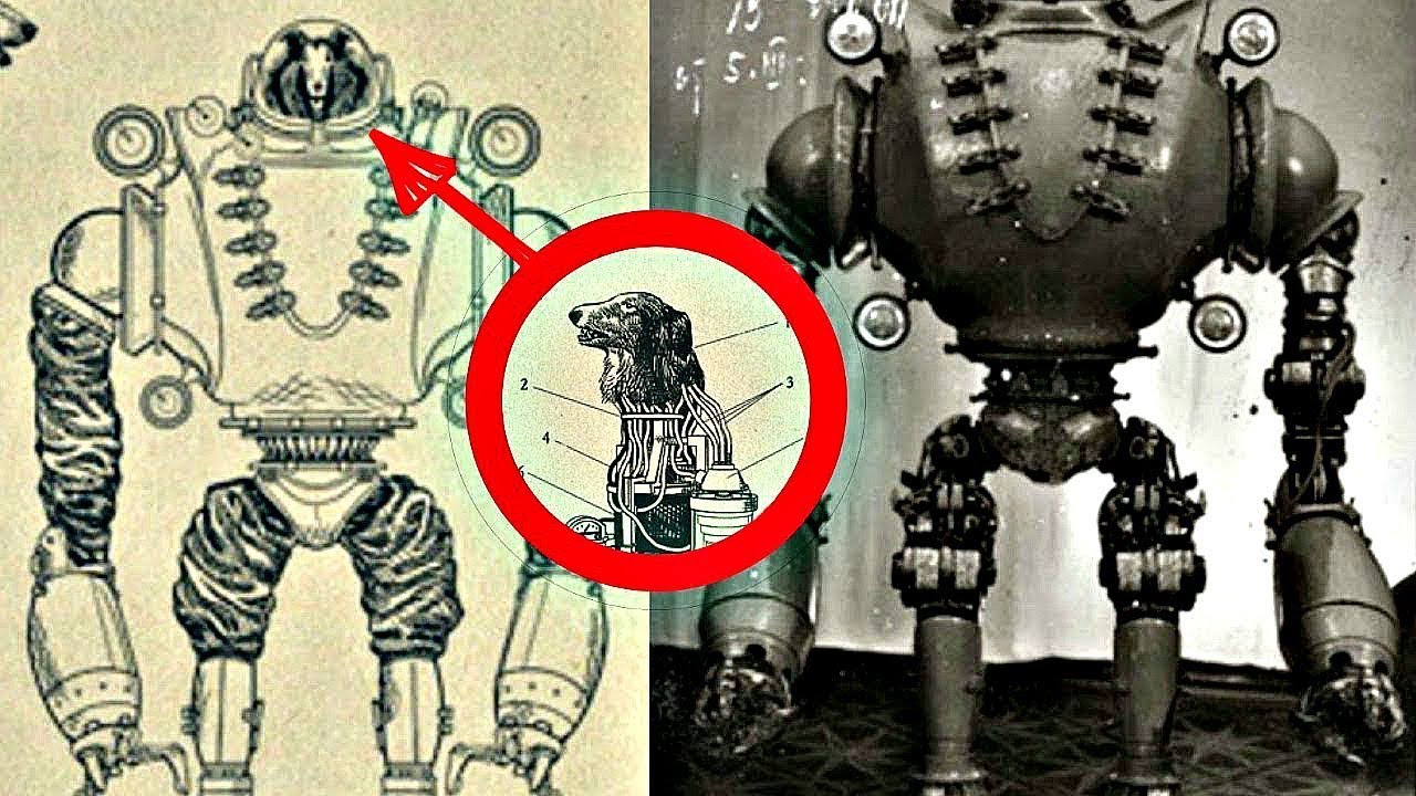 5 TERRYFYING TOP SECRET EXPERIMENTS - YouTube