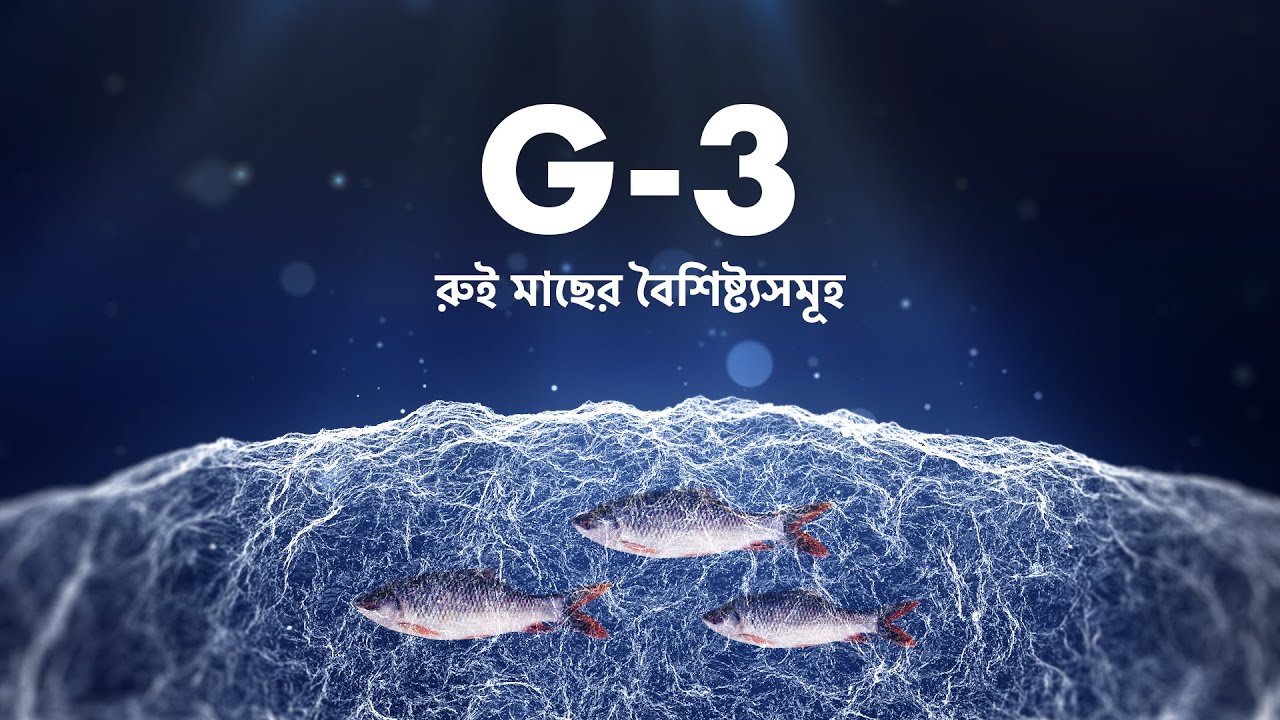 G-3 রুই মাছের বৈশিষ্ট্যসমূহ - YouTube