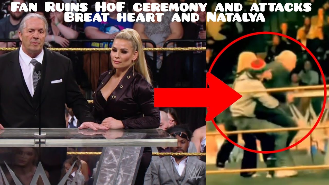 WWE Fans Who Crossed The Line And Attacked WWE Superstars - YouTube