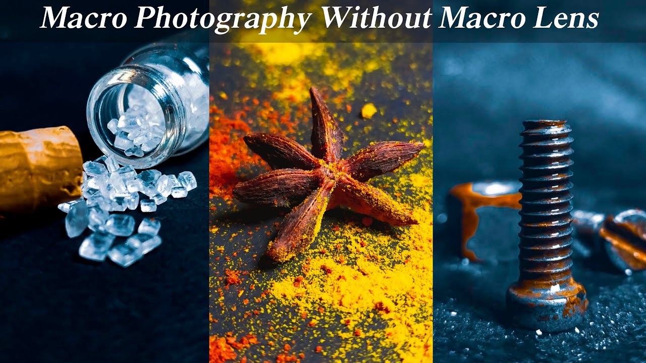 5 MACRO PHOTOGRAPHY IDEAS WITHOUT MACRO LENS || Mobile Photography ...