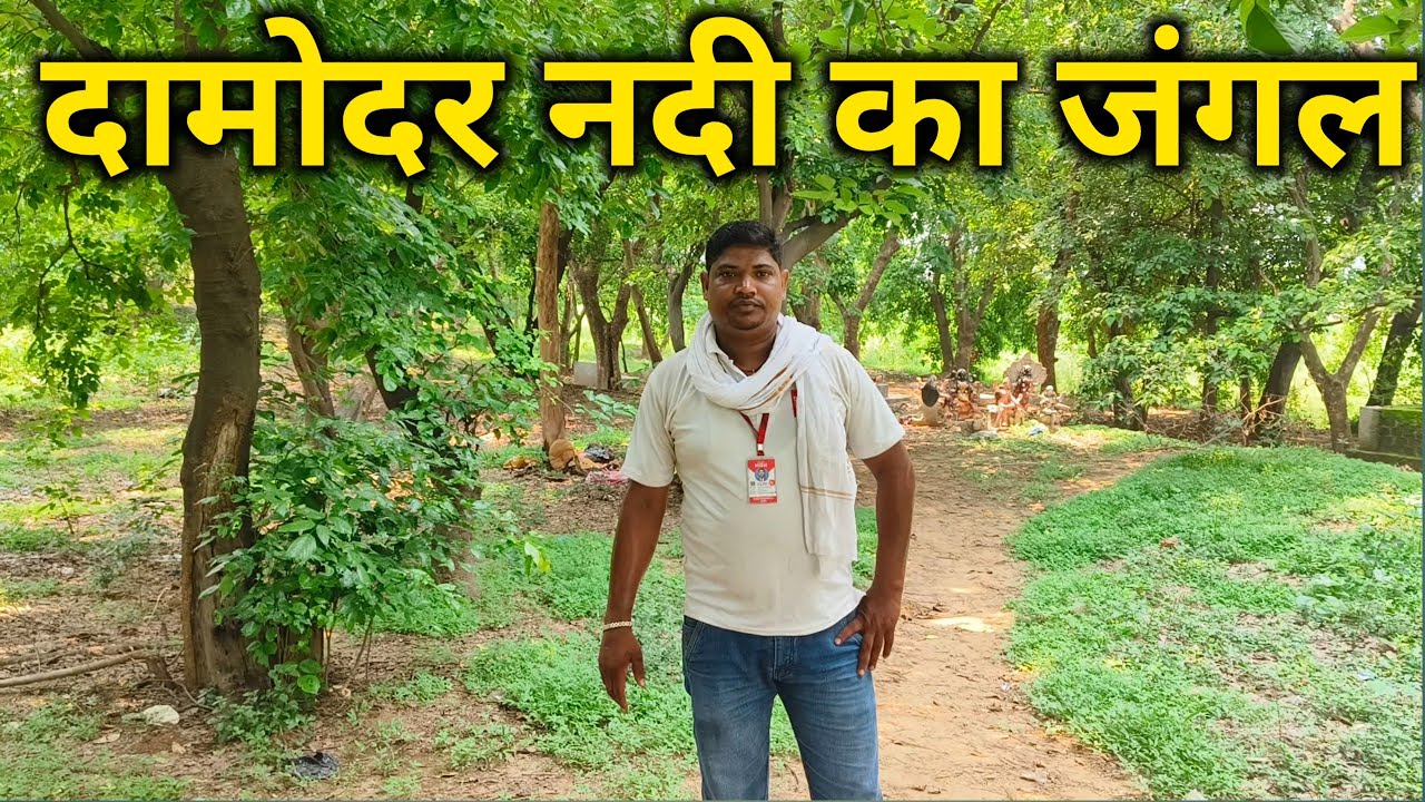 Damodar Nadi Jharkhand ।। Damodar River Jharkhand ।। - YouTube